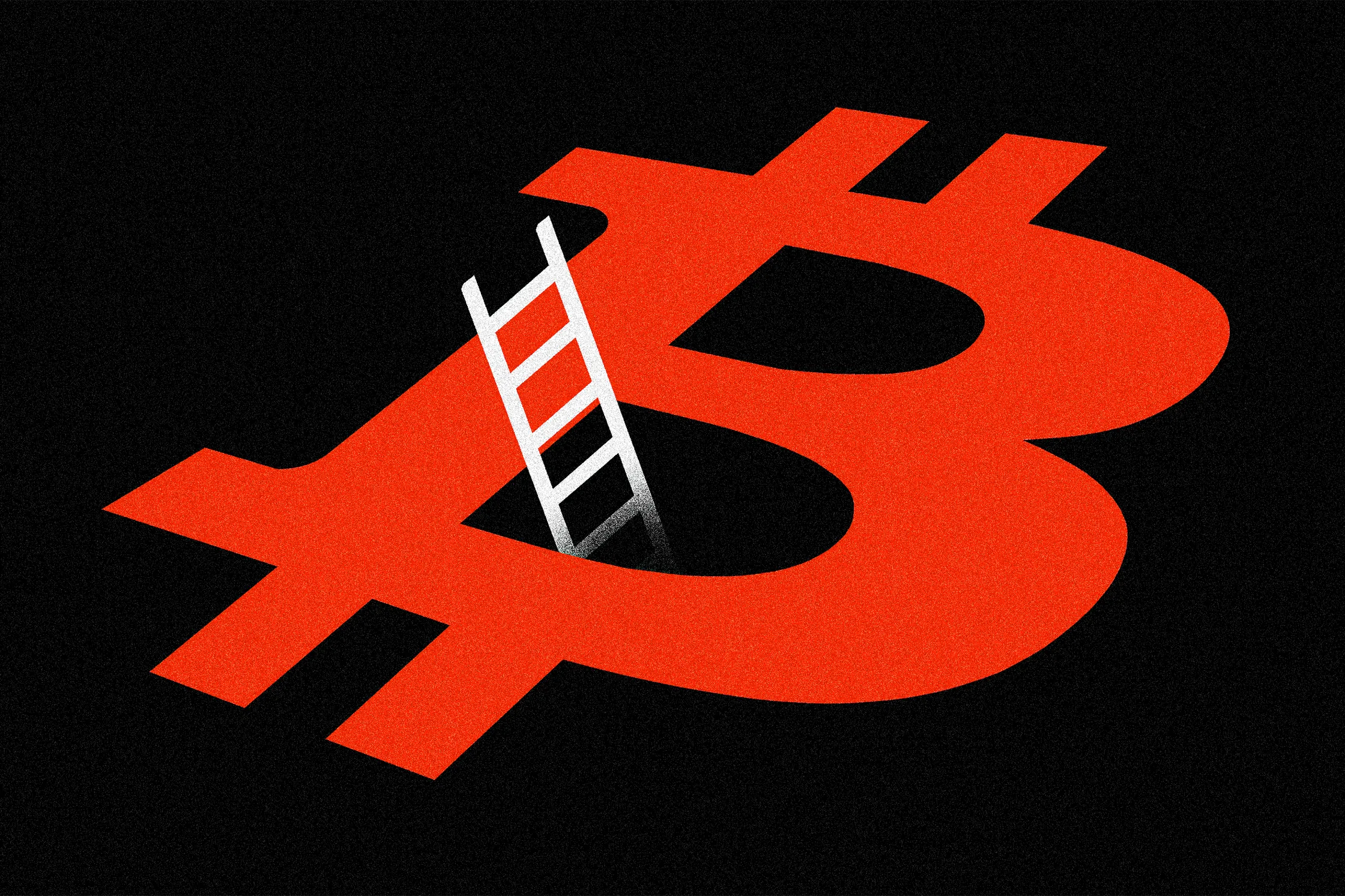 media | Jie Chen (陈捷)